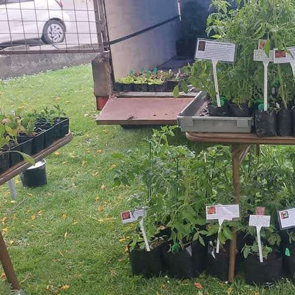 Amberley Farmers Market